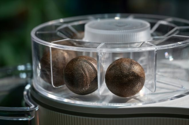2024 - Nespresso launches the race for compostable pods